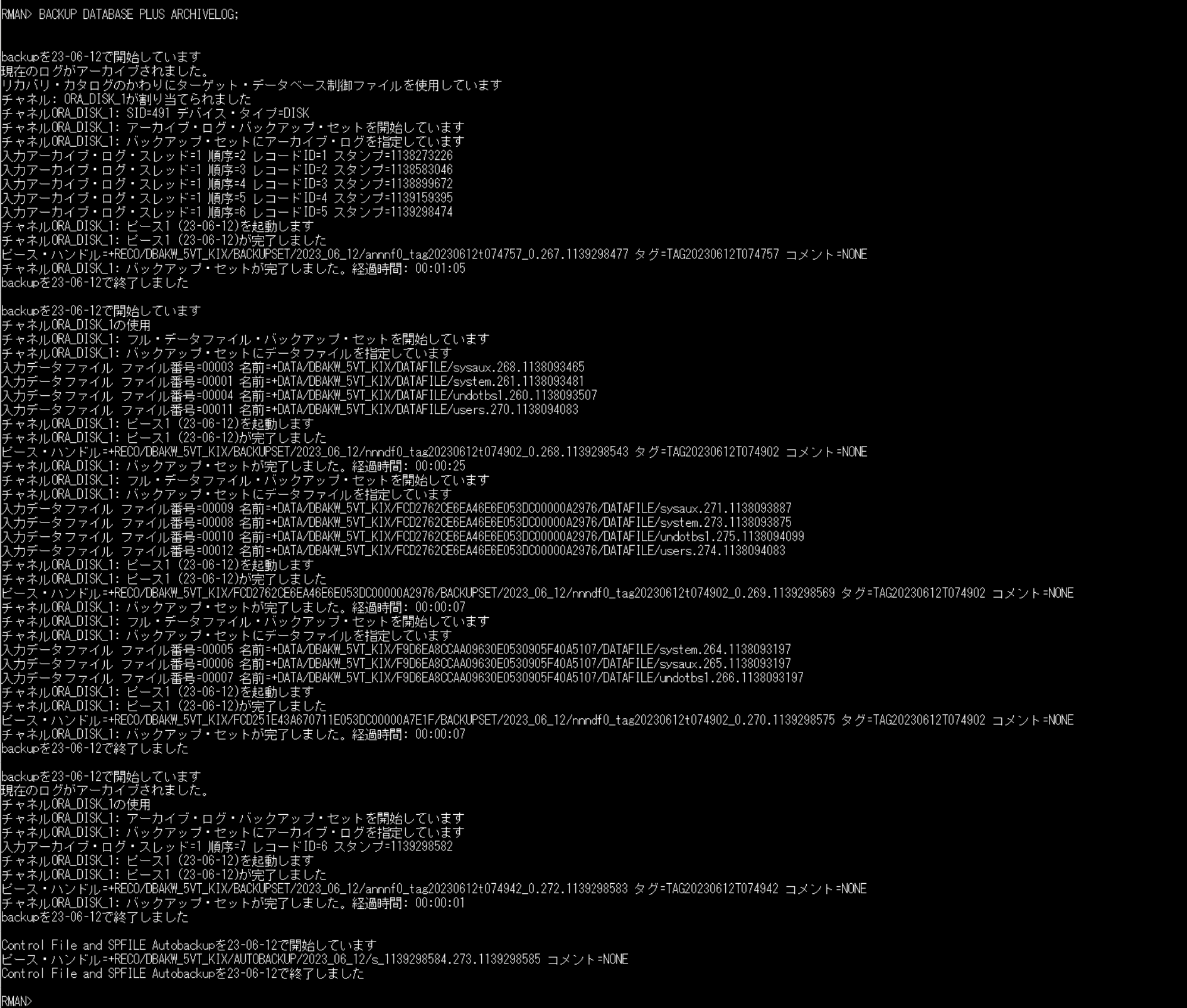 Oracle Databaseのバックアップ戦略 物理バックアップ Vs 論理バックアップ