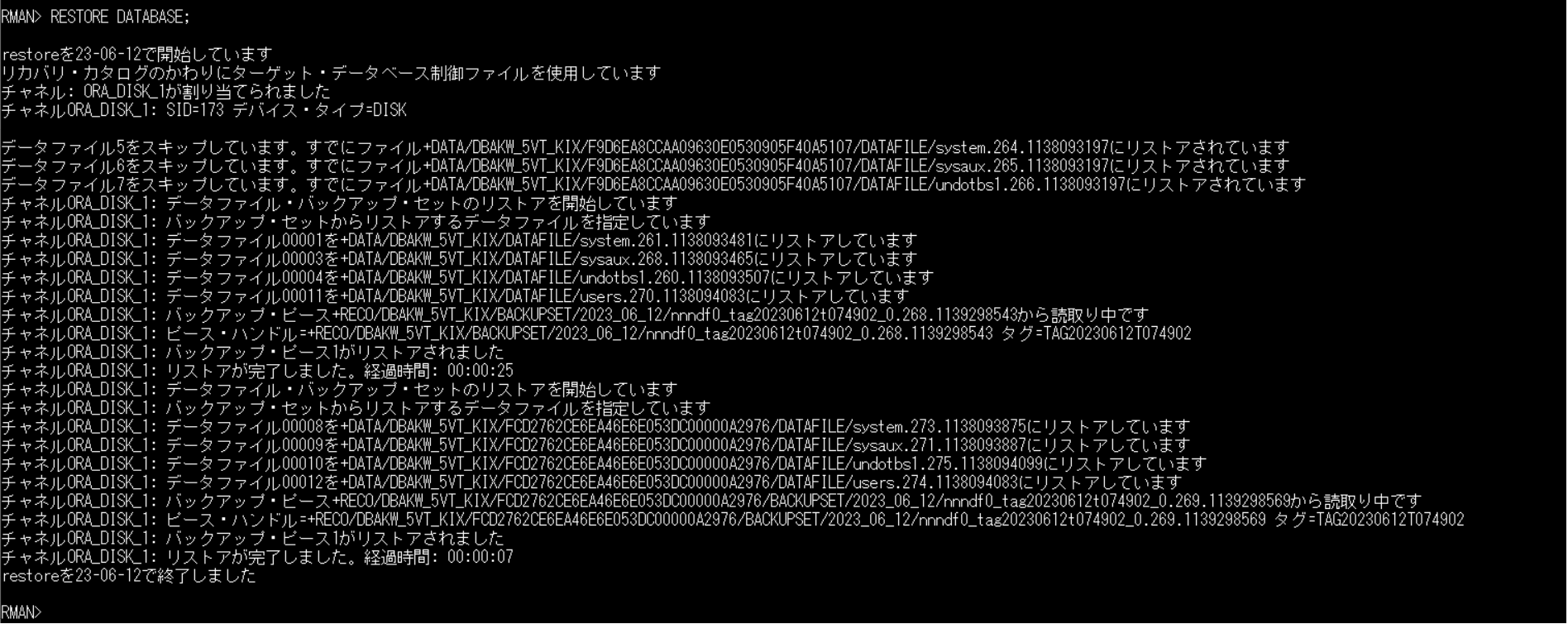 Oracle Databaseのバックアップ戦略: 物理バックアップ vs 論理バックアップ